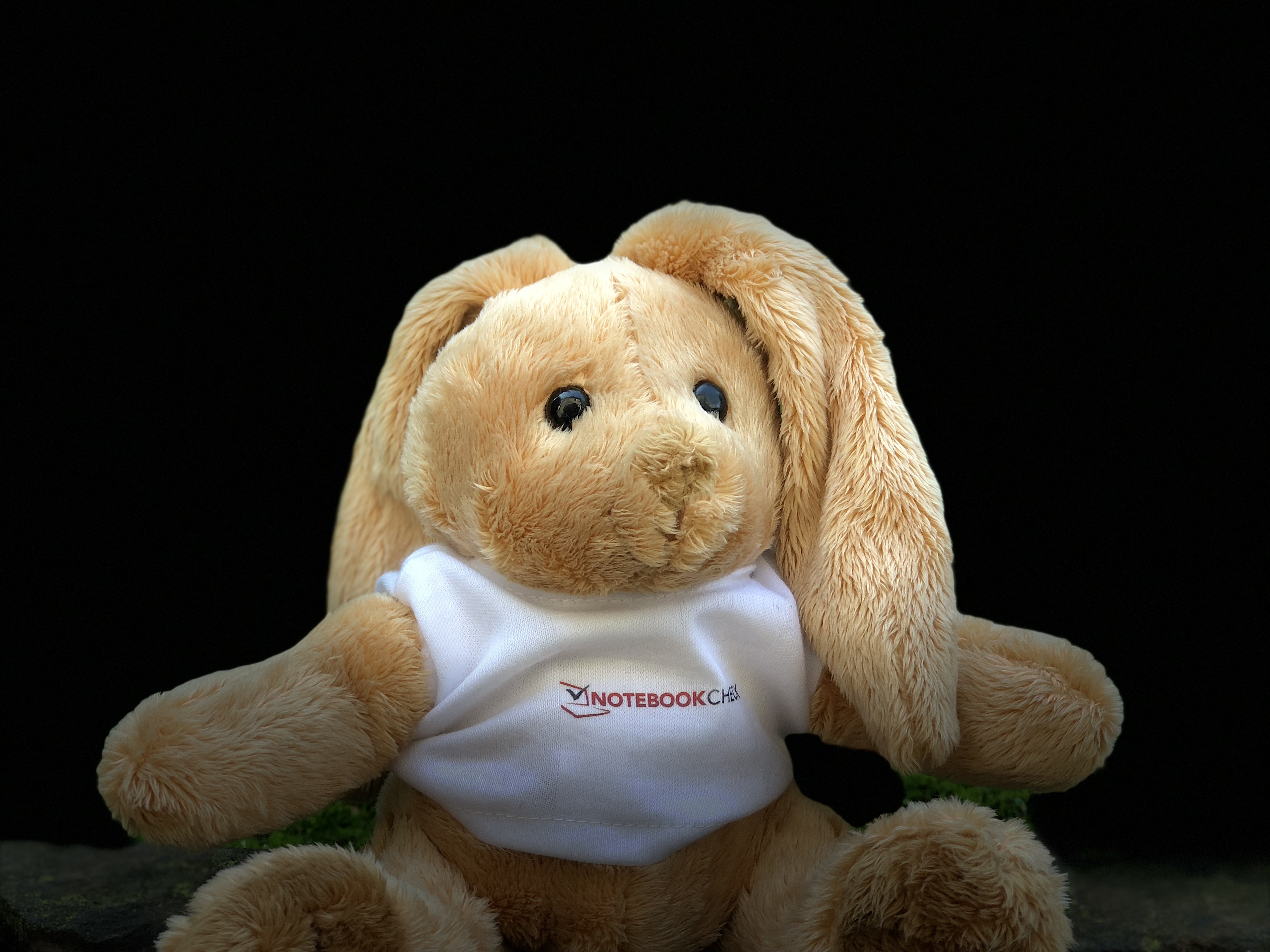 Apple iPhone 8 Plus Smartphone Review - NotebookCheck.net Reviews