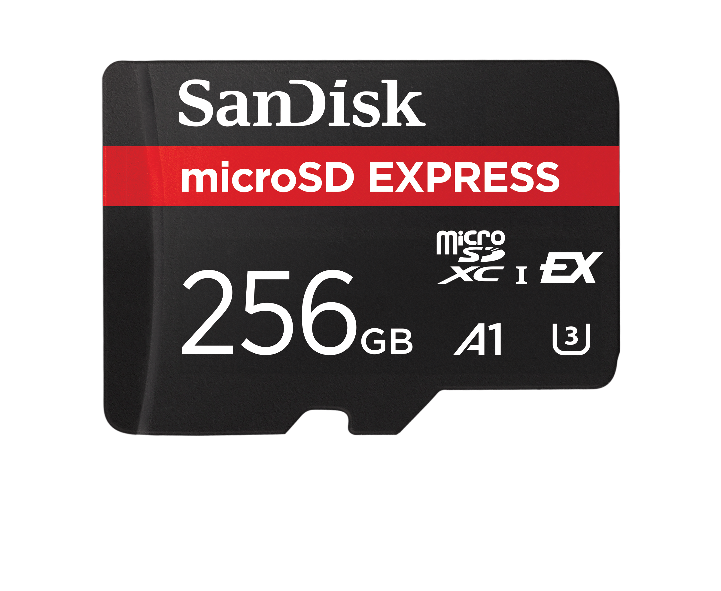 Sandisk plans to launch first SD cards with around 900 MB/s speed in ...