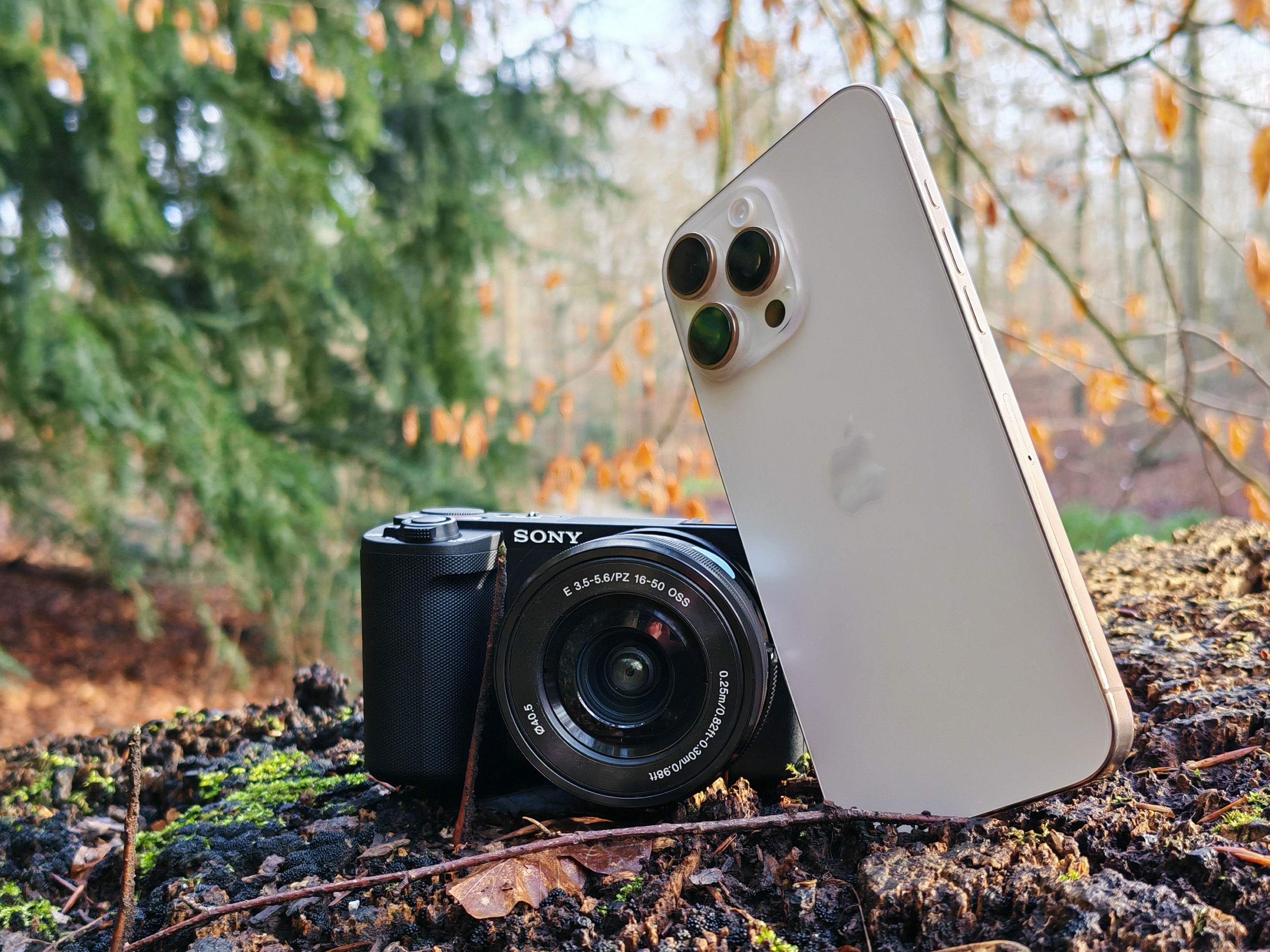 Camera comparison: Sony Alpha ZV-E10 II vs. Apple iPhone 16 Pro Max ...