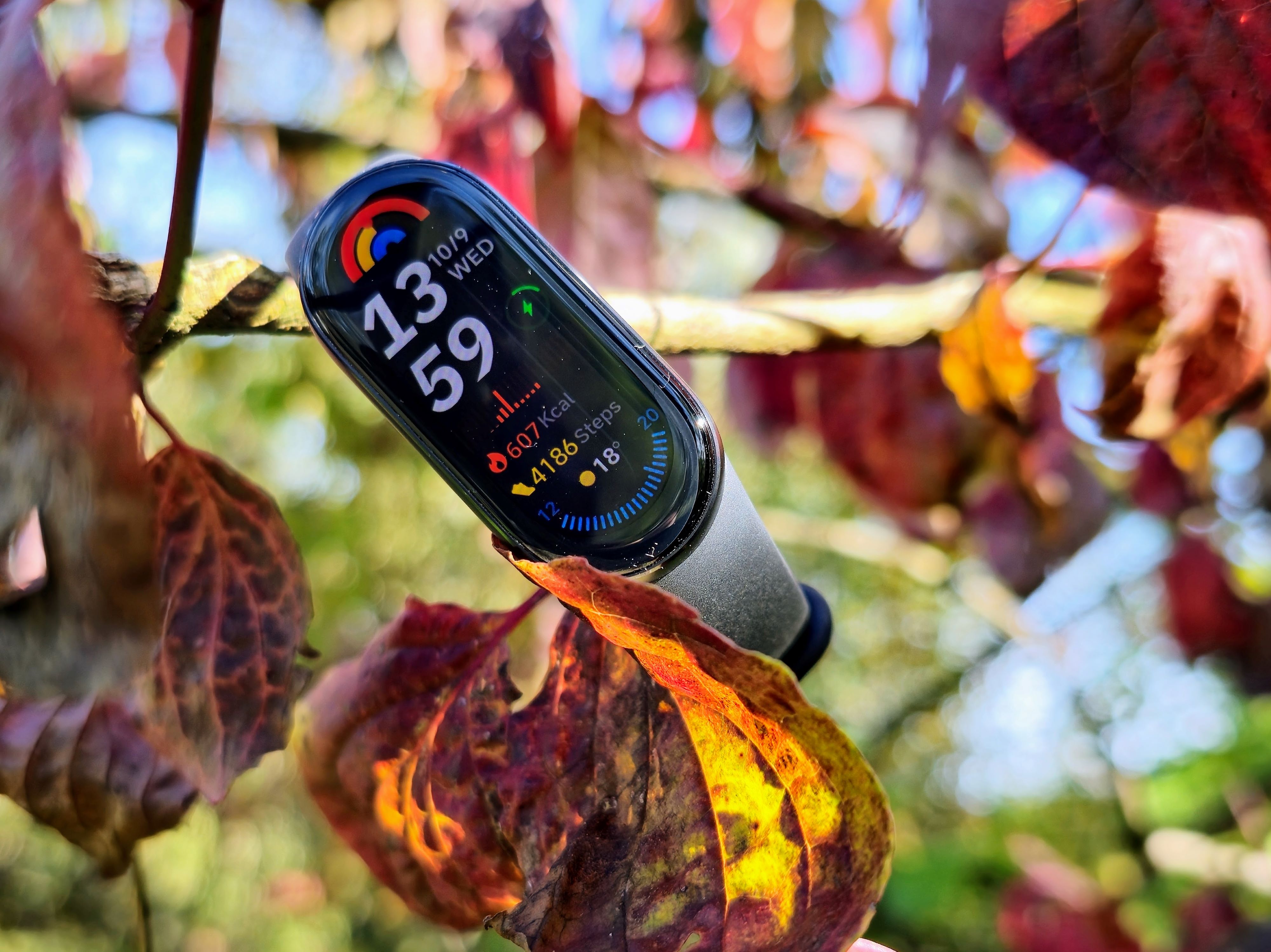 Xiaomi Smart Band 9 fitness tracker review - A classic in its ninth ...