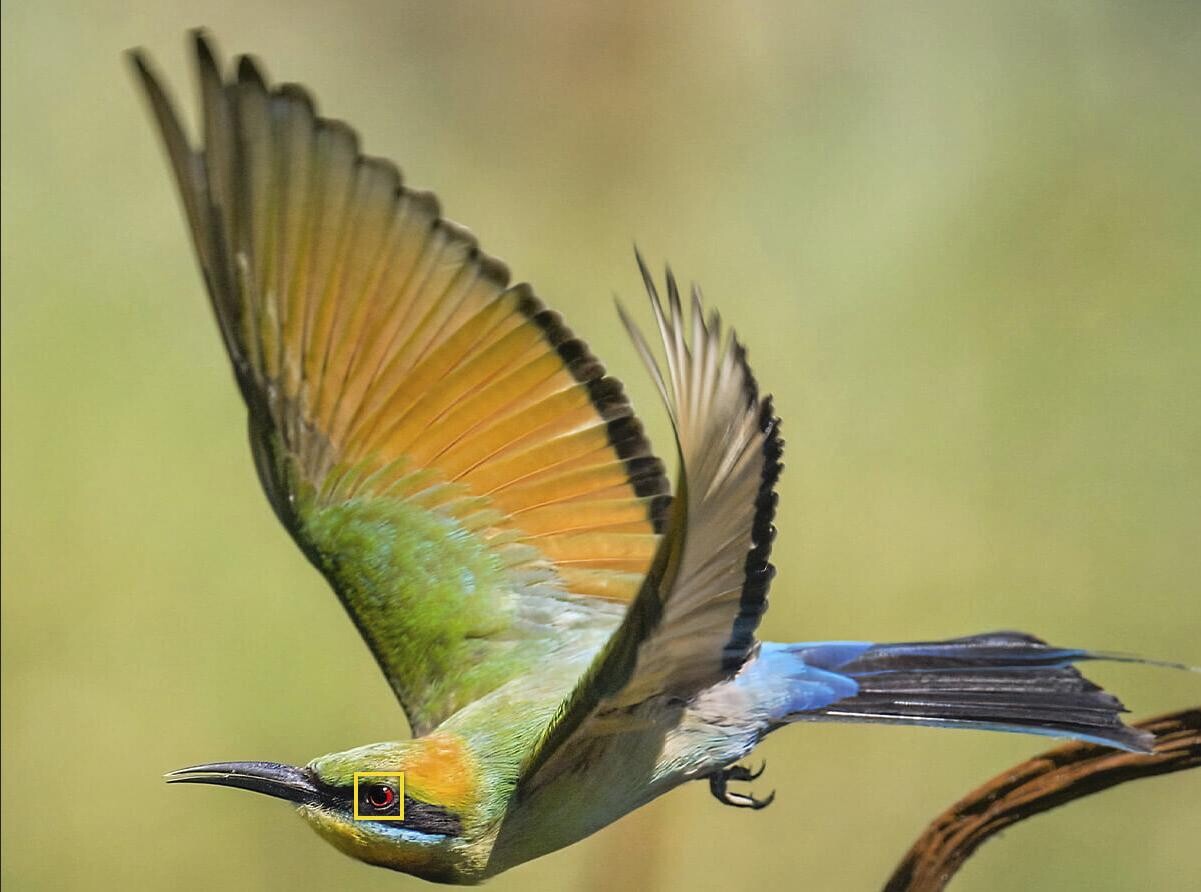 3 Nikon Z8 review takeaways that reveal who should buy the full-frame ...