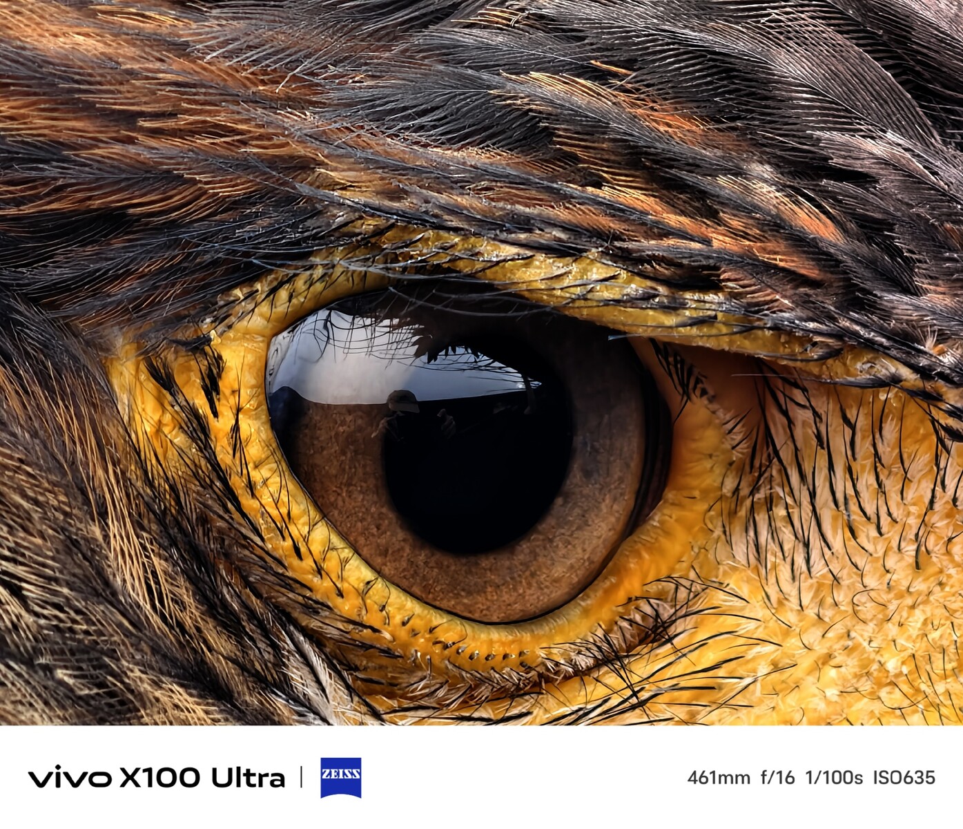 Vivo X100 Ultra camera samples showcase impressive telephoto shots - NotebookCheck.net News