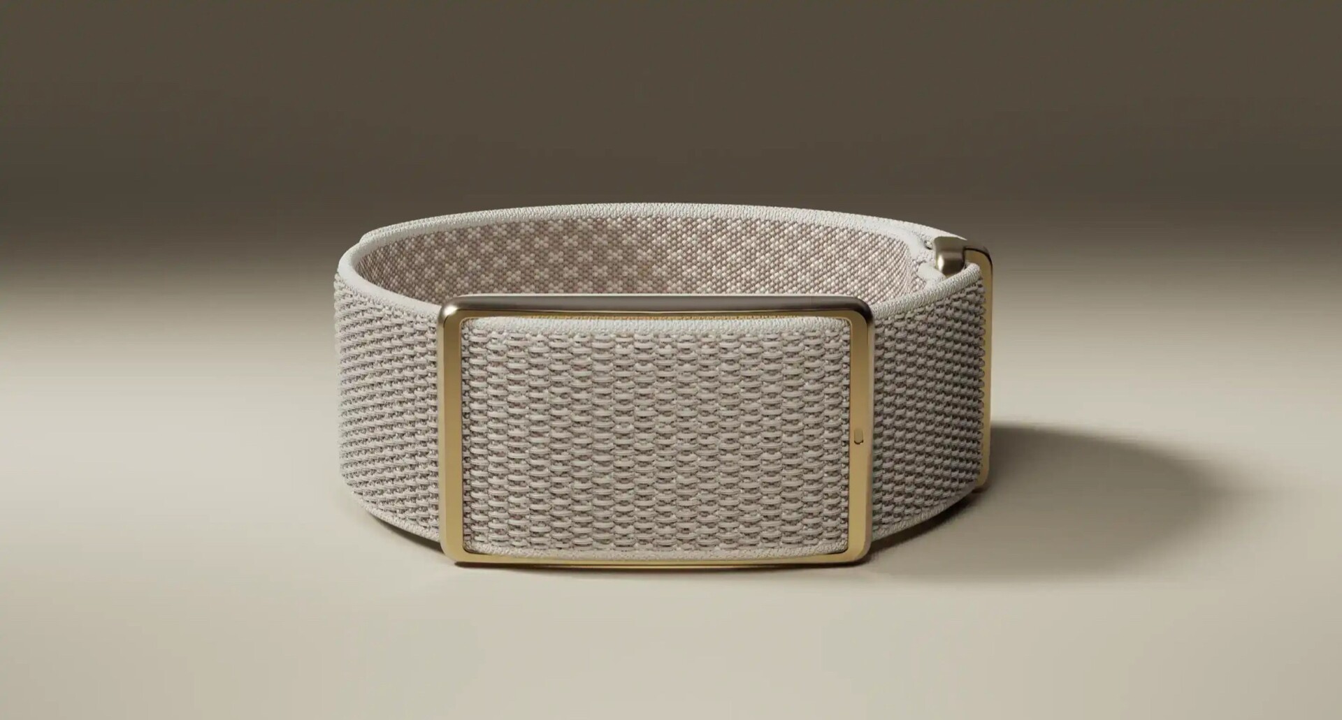 Polar Loop tracks health and fitness without display or subscription ...
