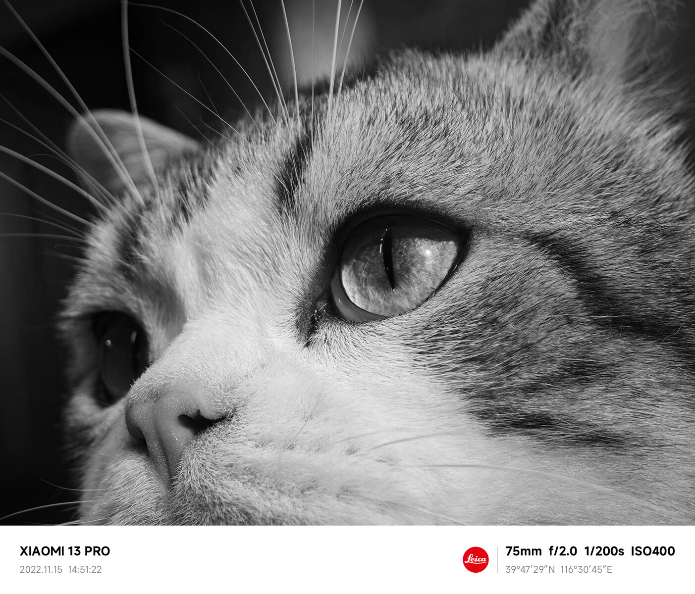 Xiaomi confirms Xiaomi 13 and Xiaomi 13 Pro camera specifications while ...