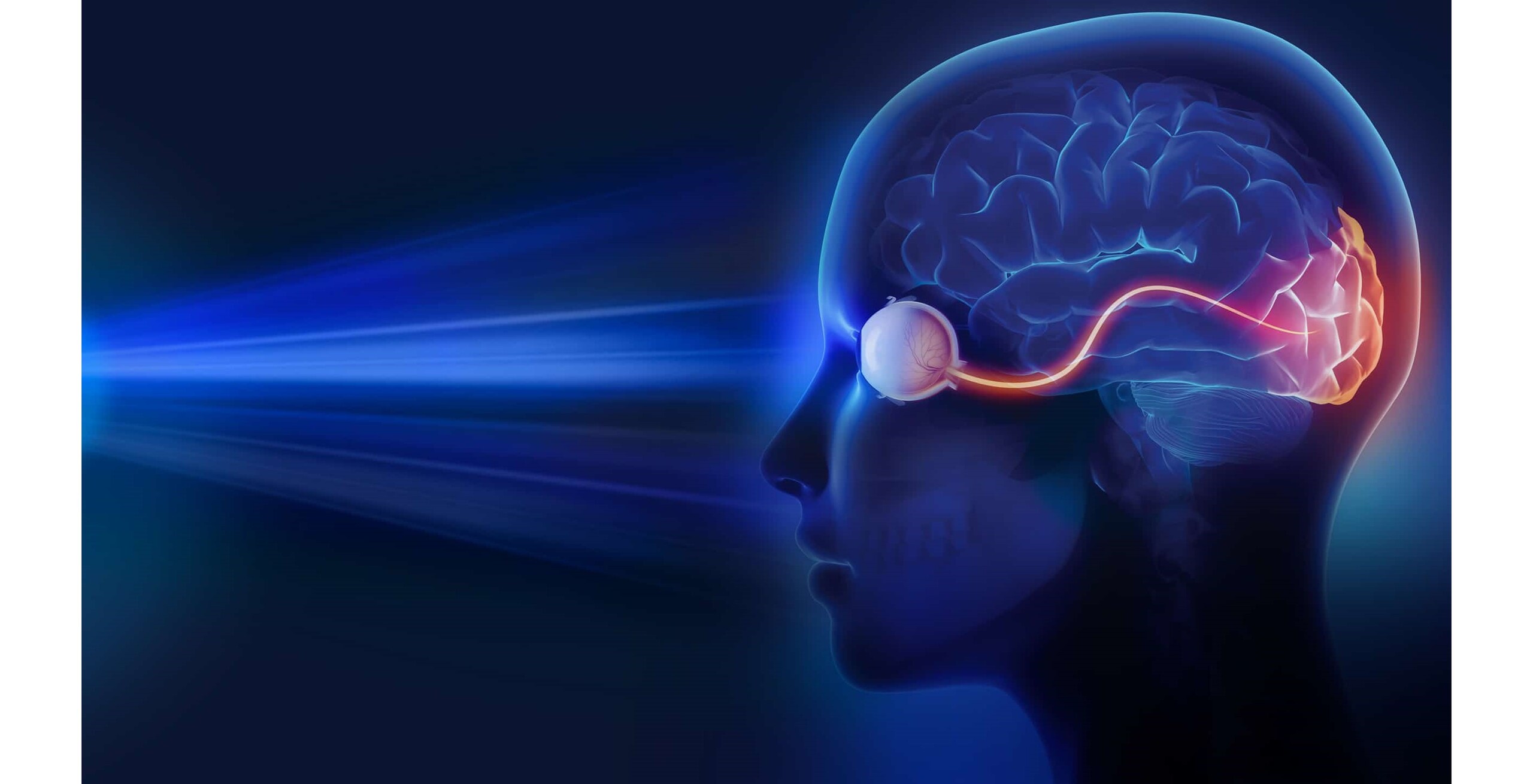 October 10 is now California's official Blue Light Awareness Day ...