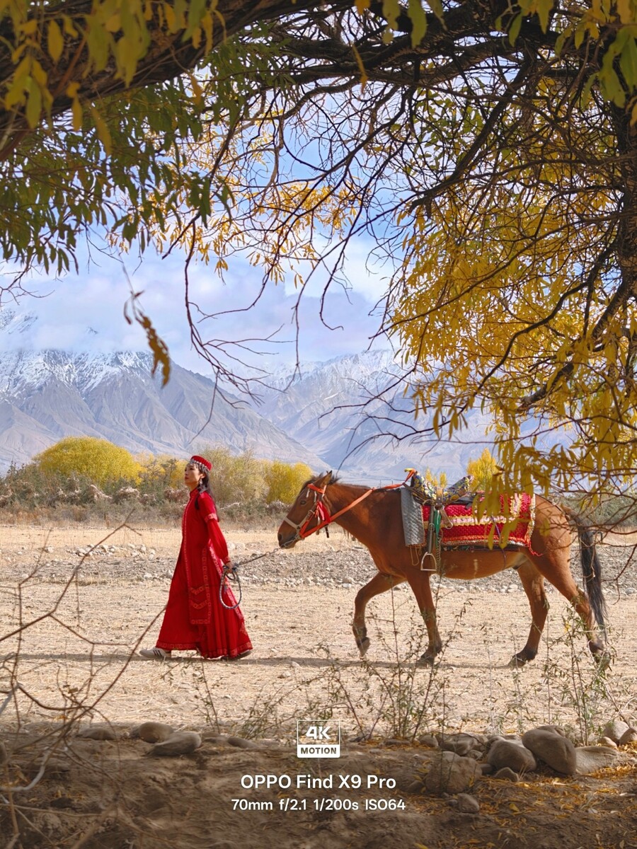 Oppo Find X9 Pro: Hasselblad camera samples, XPan mode demo video and ...