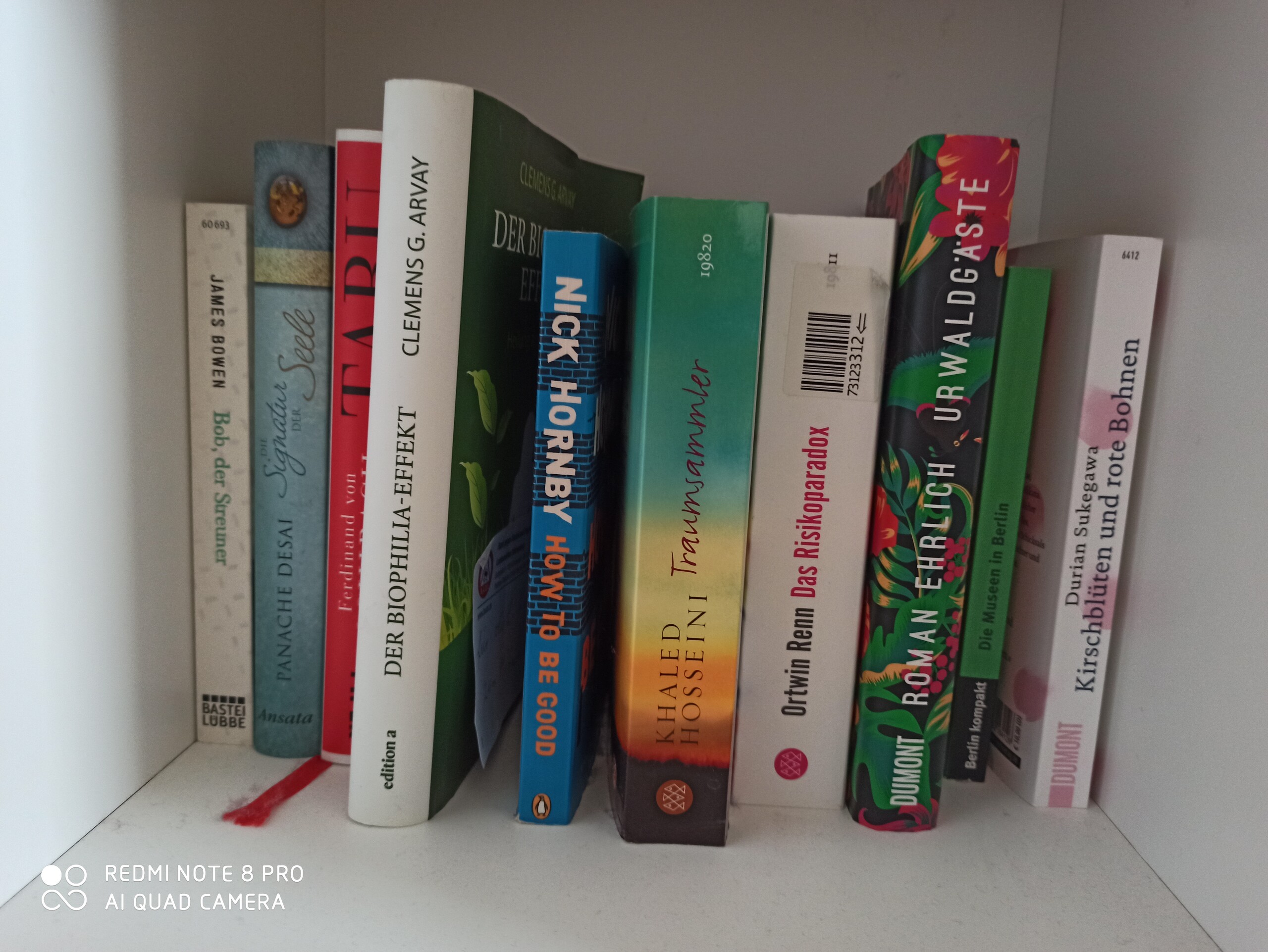 Redmi Note 8 Smartphone Camera Review: With the Pro, the Note 8 finds ...