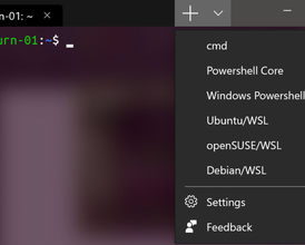 The new Windows Terminal is now available for download from the ...