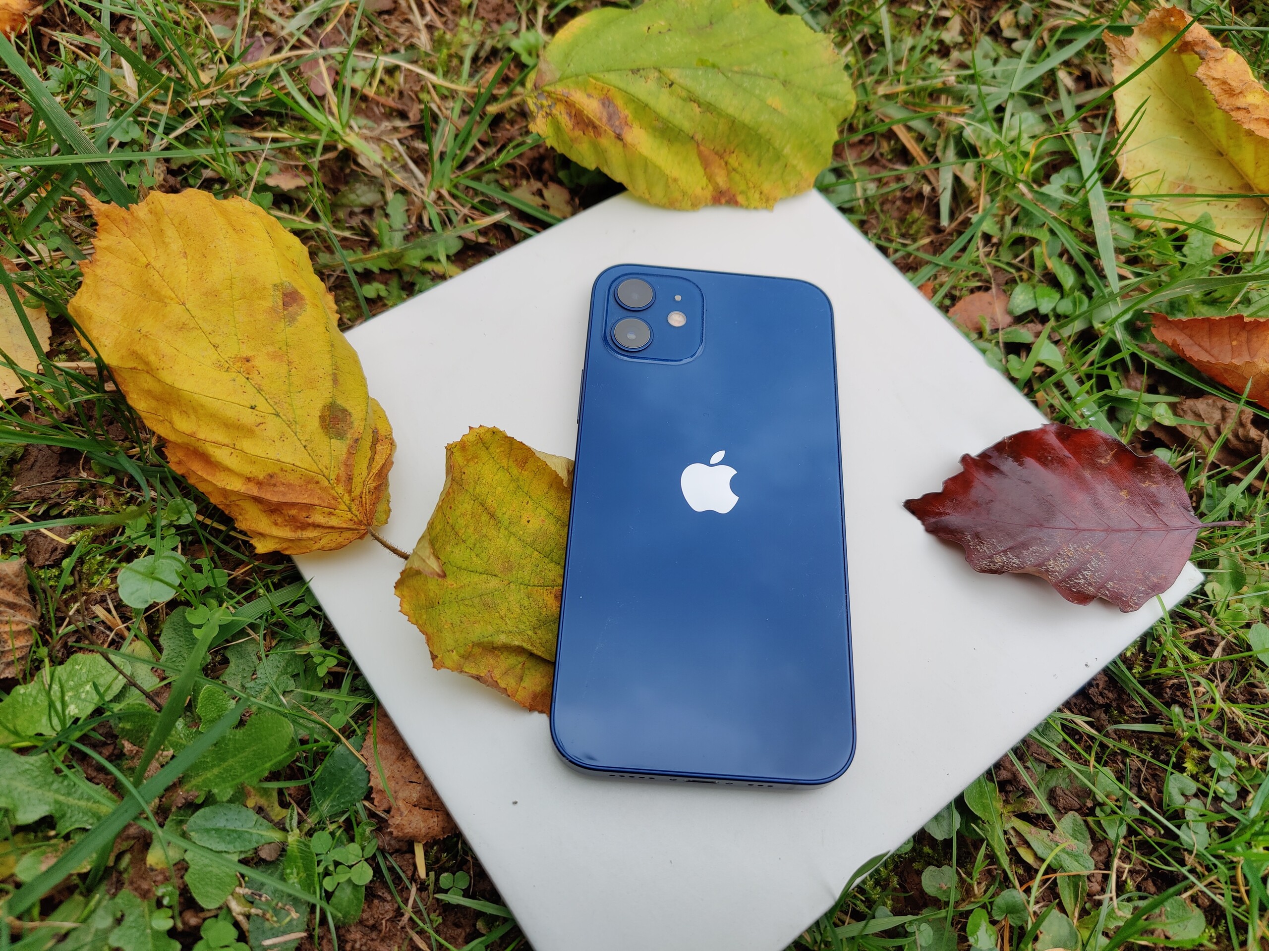 Apple iPhone 12 Smartphone Review - Apple phone with 5G - Notebookcheck ...